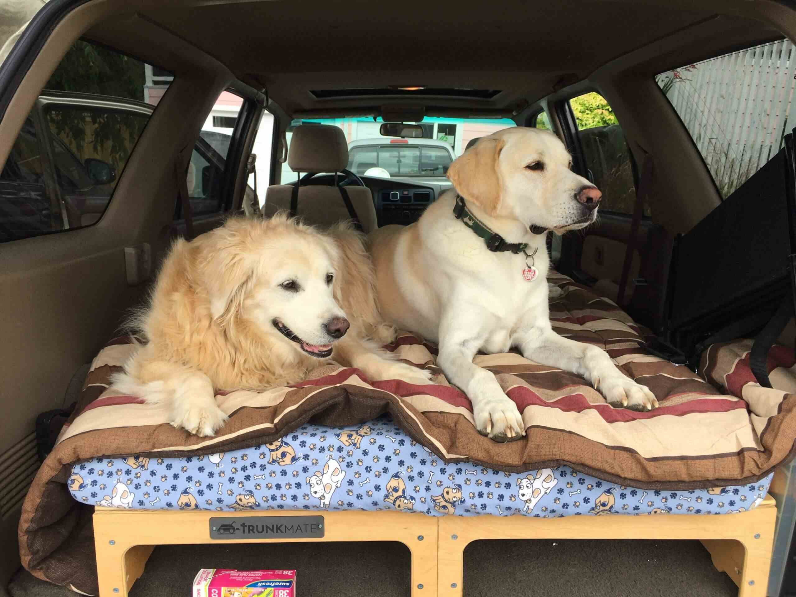 6 INCREDIBLE Car Camper Conversion Kits! [+DIY Ideas]