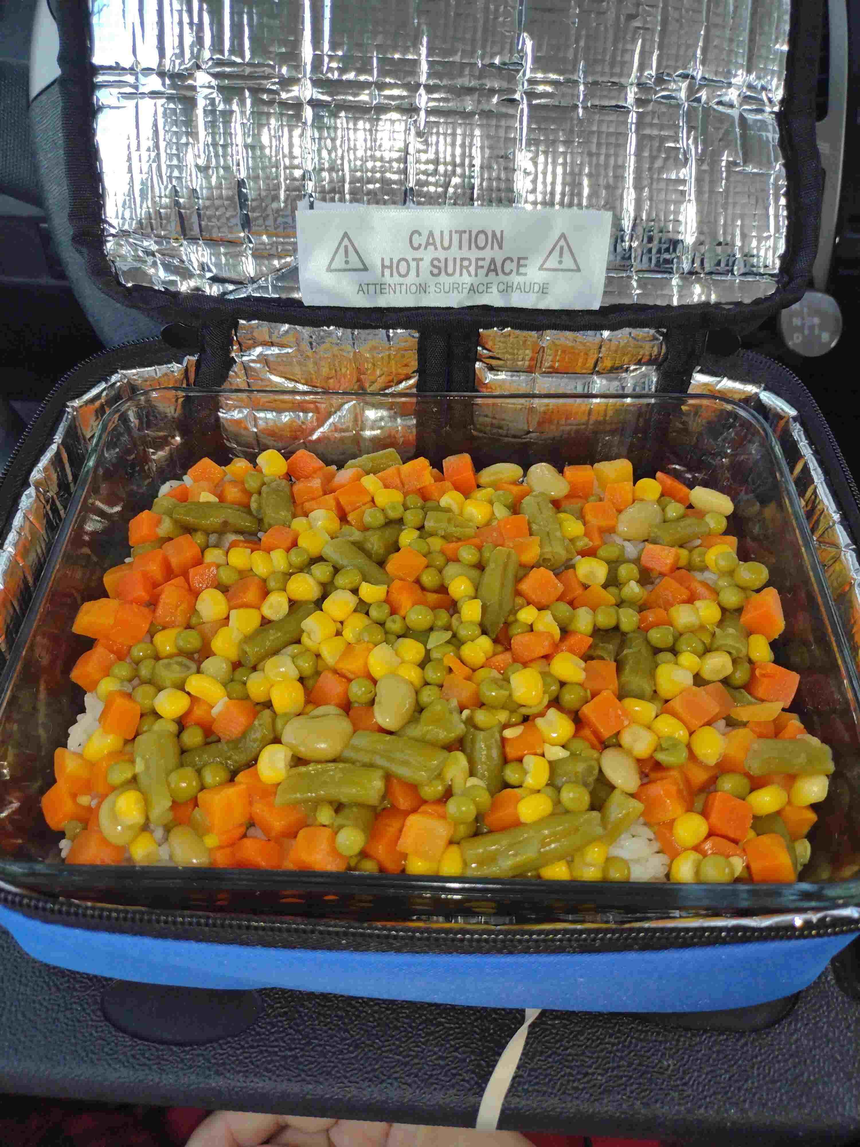 Hot Logic vs RoadPro: Ultimate 12v Oven Comparison Guide