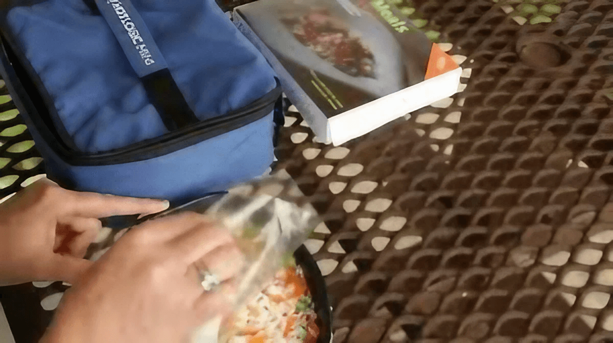 Hot Logic vs RoadPro: Ultimate 12v Oven Comparison Guide